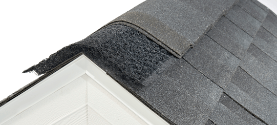 AtticDefense Ridge Vent | Quarrix